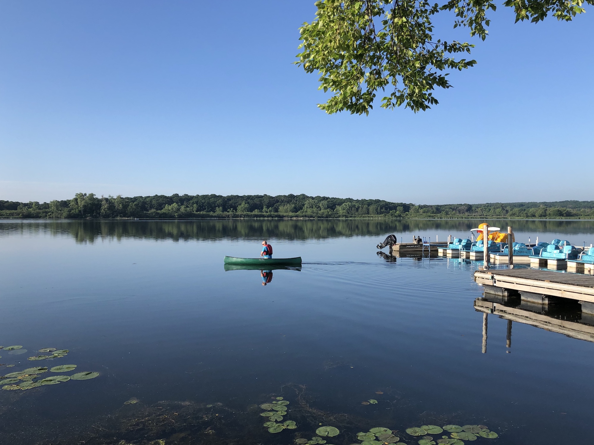 Lake Wingra | Madison, Wisconsin | July 5, 2019