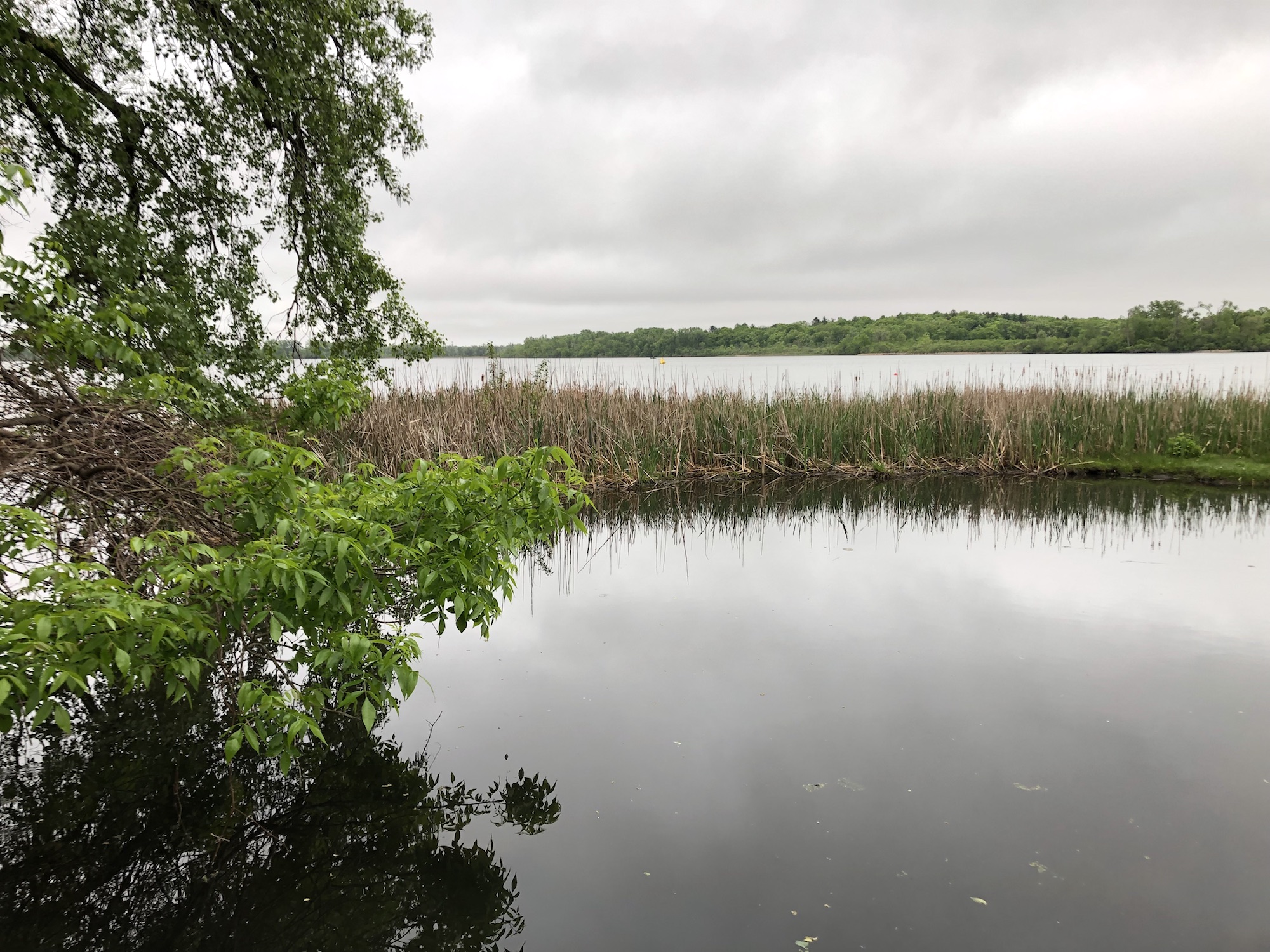 Lake Wingra | Madison, Wisconsin | May 28, 2019