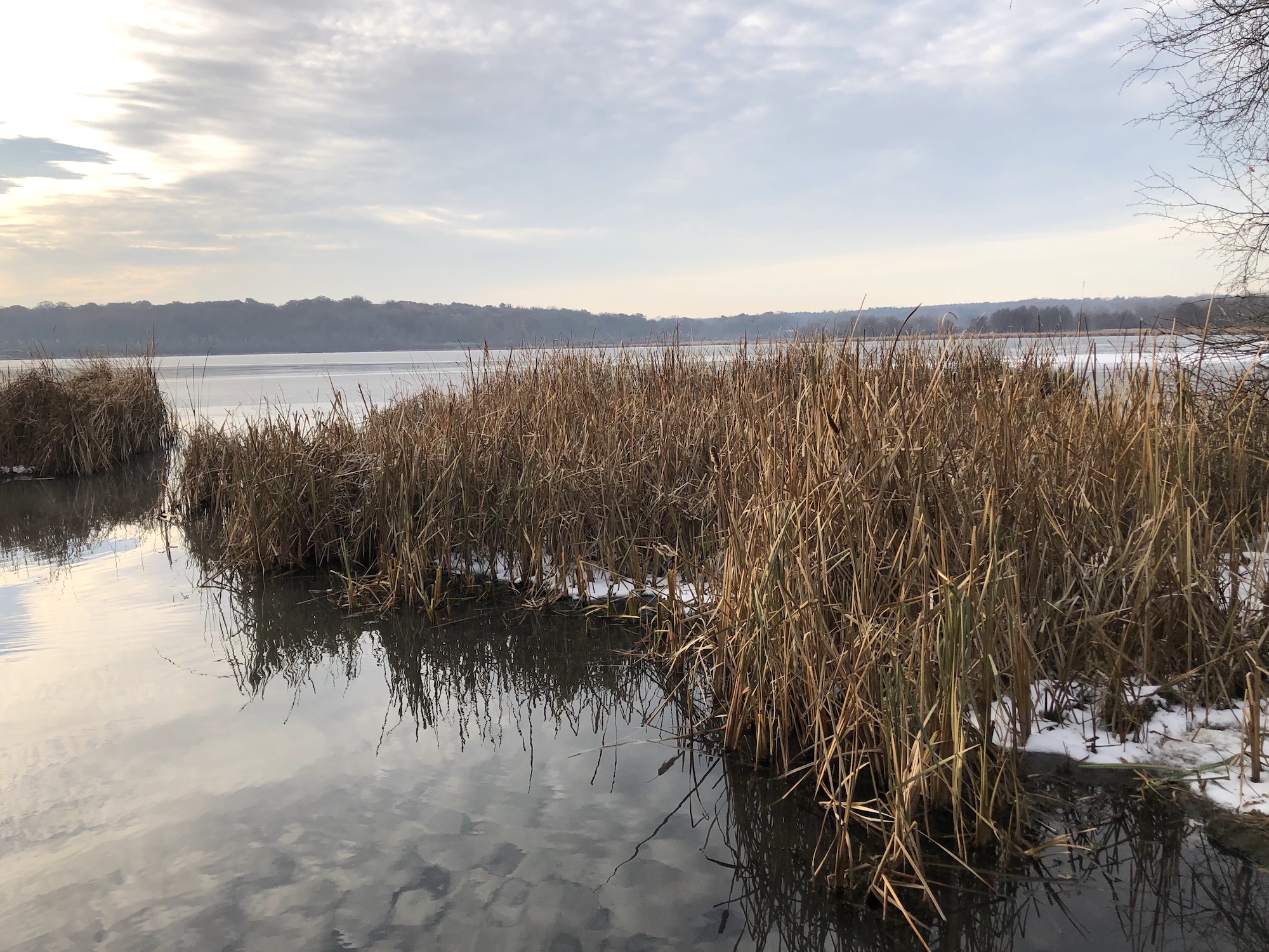 Lake Wingra | Madison, Wisconsin | November 16, 2019
