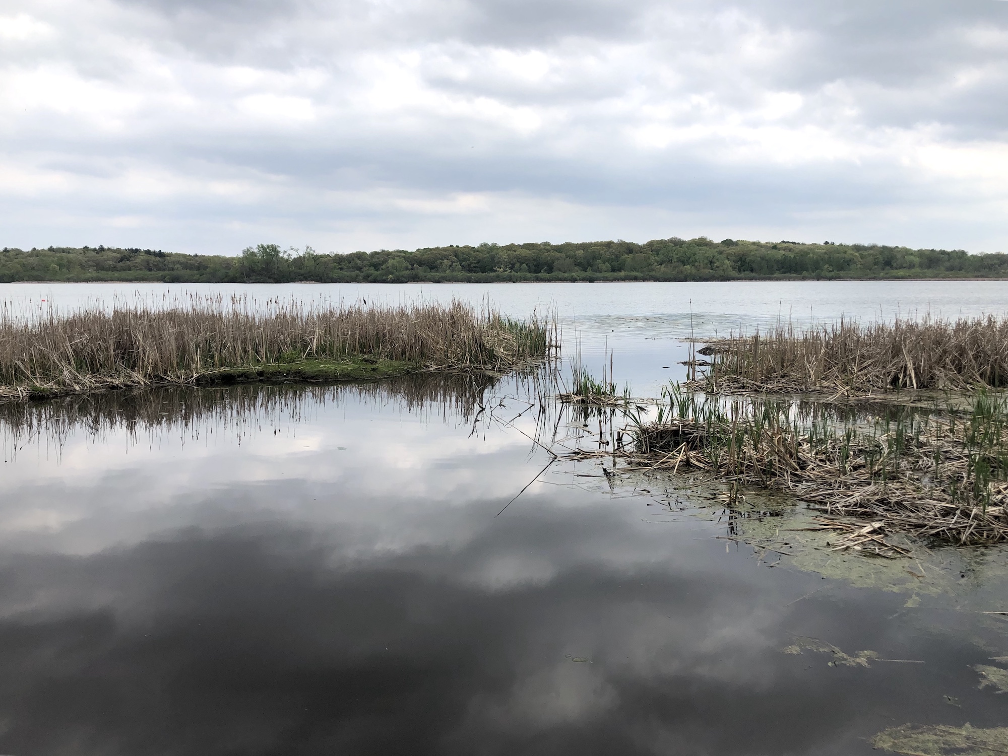 Lake Wingra | Madison, Wisconsin | May 16, 2019