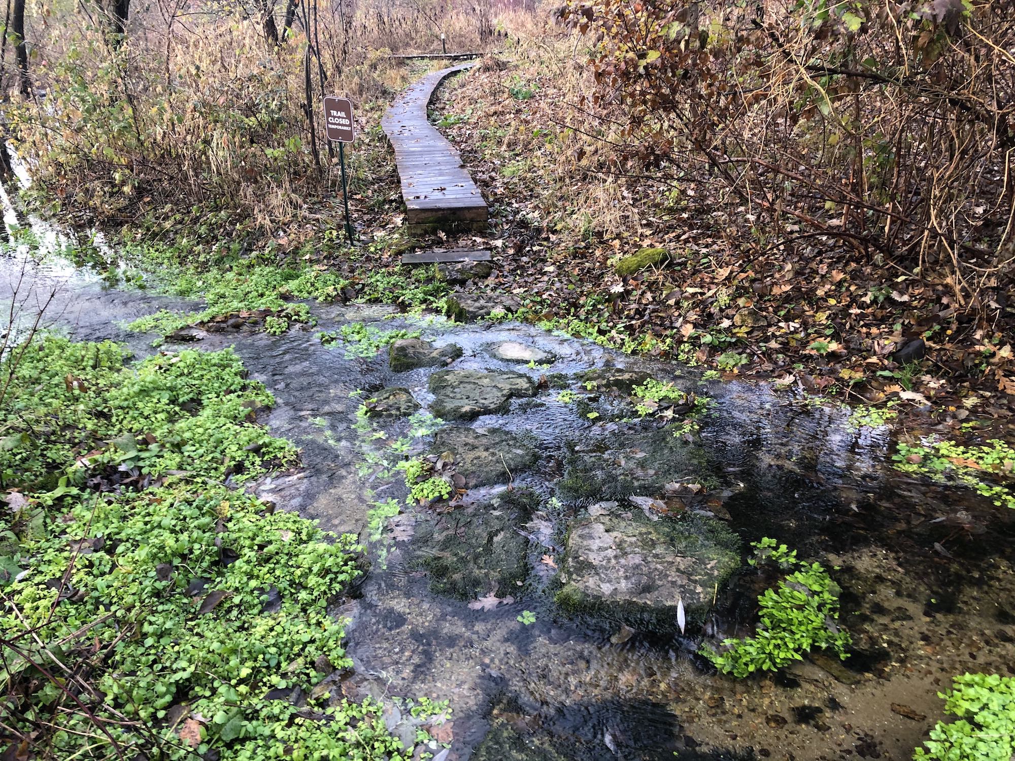 Lake Wingra | Madison, Wisconsin | November 4, 2019