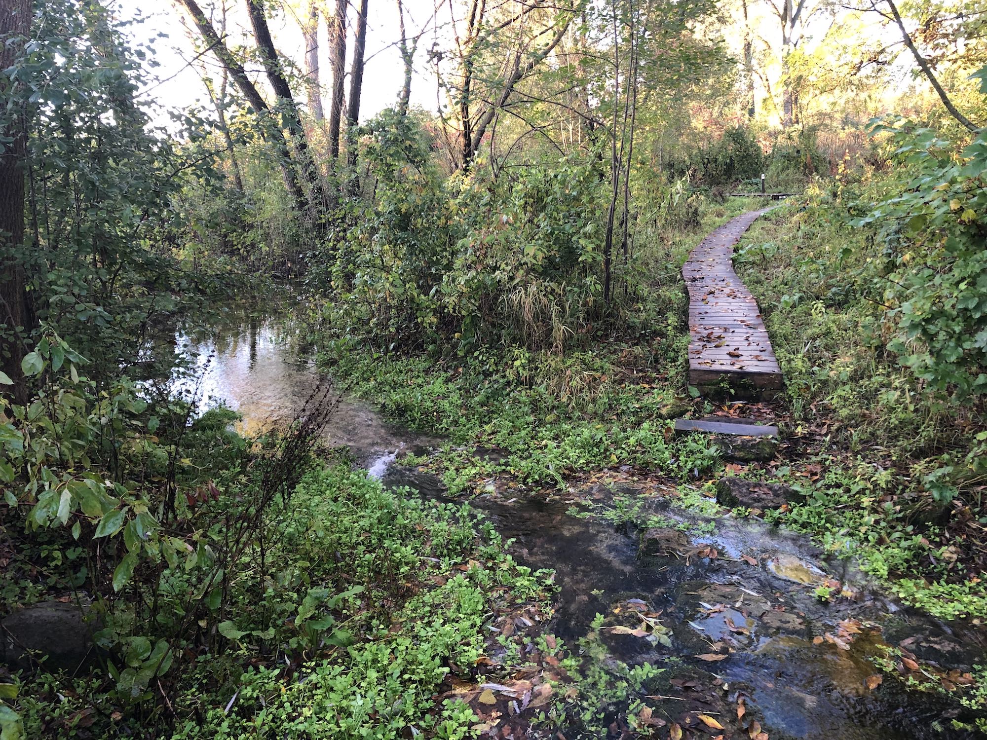 Lake Wingra | Madison, Wisconsin | October 6, 2019
