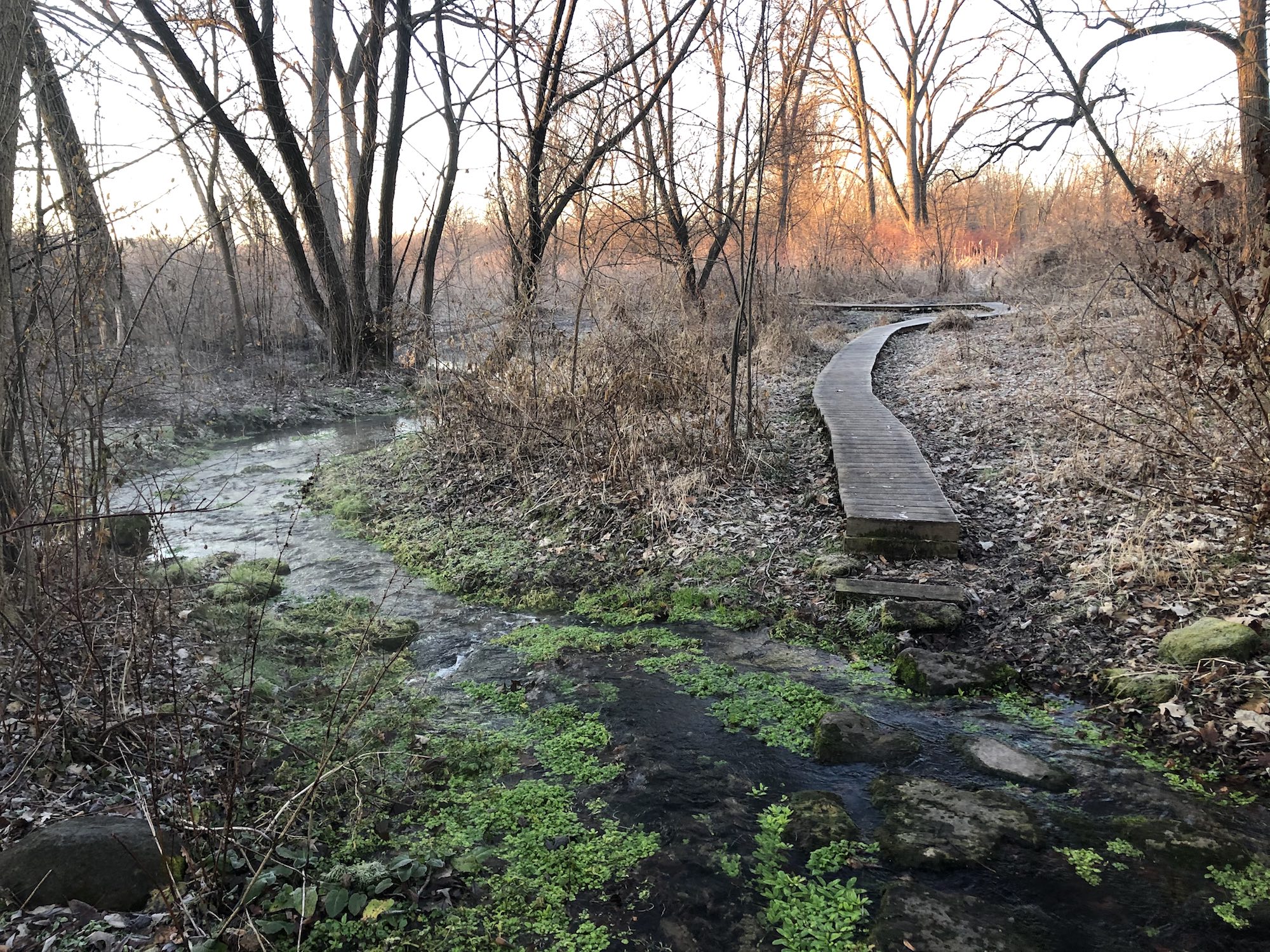 Lake Wingra | Madison, Wisconsin | December 5, 2019