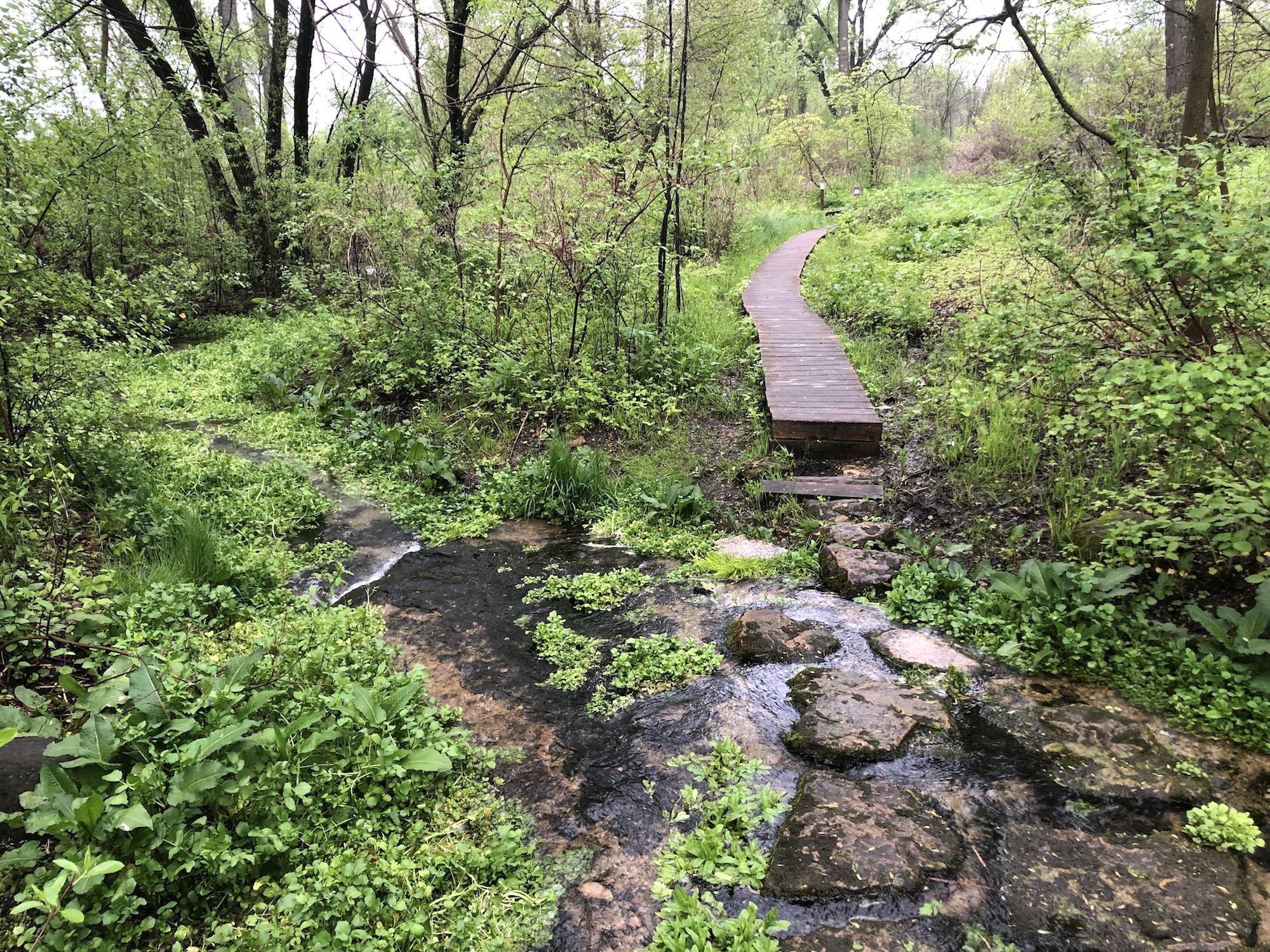 Lake Wingra | Madison, Wisconsin | May 19, 2019