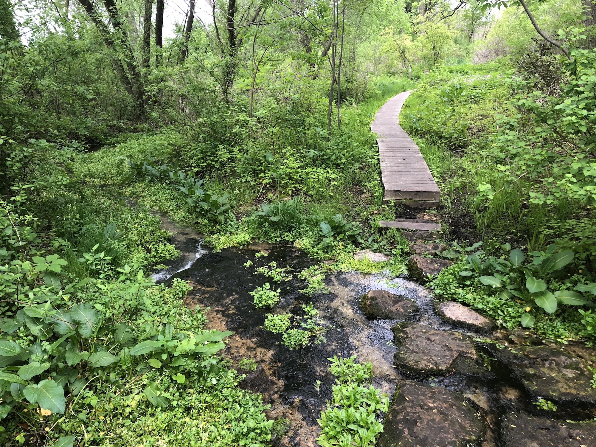 Lake Wingra | Madison, Wisconsin | May 27, 2019