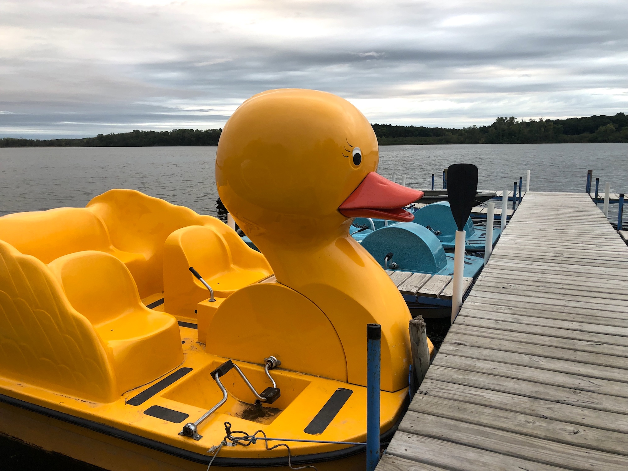 Lake Wingra | Madison, Wisconsin | September 27, 2019
