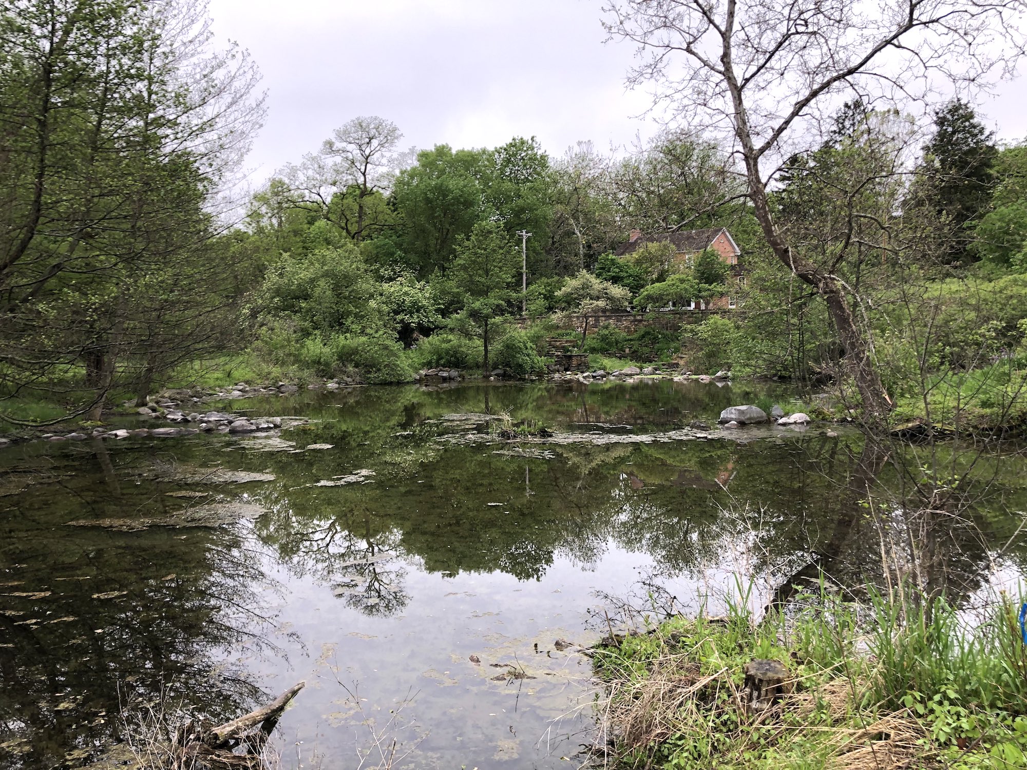 Lake Wingra | Madison, Wisconsin | May 28, 2019