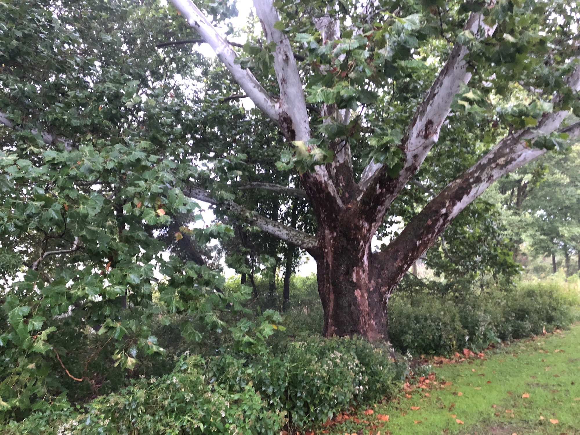 Lake Wingra | Madison, Wisconsin | September 30, 2019