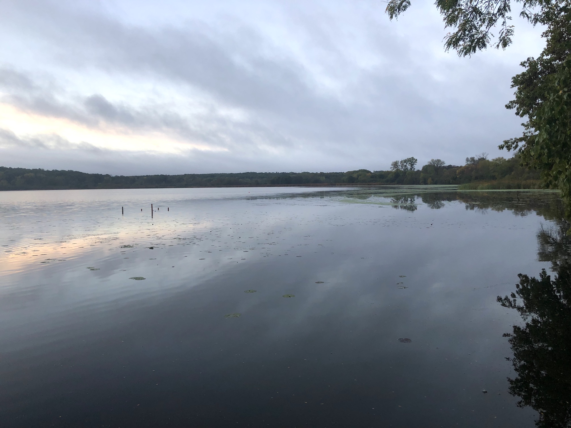 Lake Wingra | Madison, Wisconsin | October 3, 2019