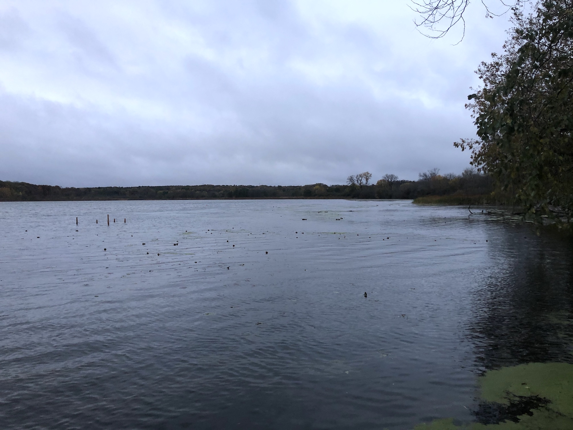 Lake Wingra | Madison, Wisconsin | October 22, 2019