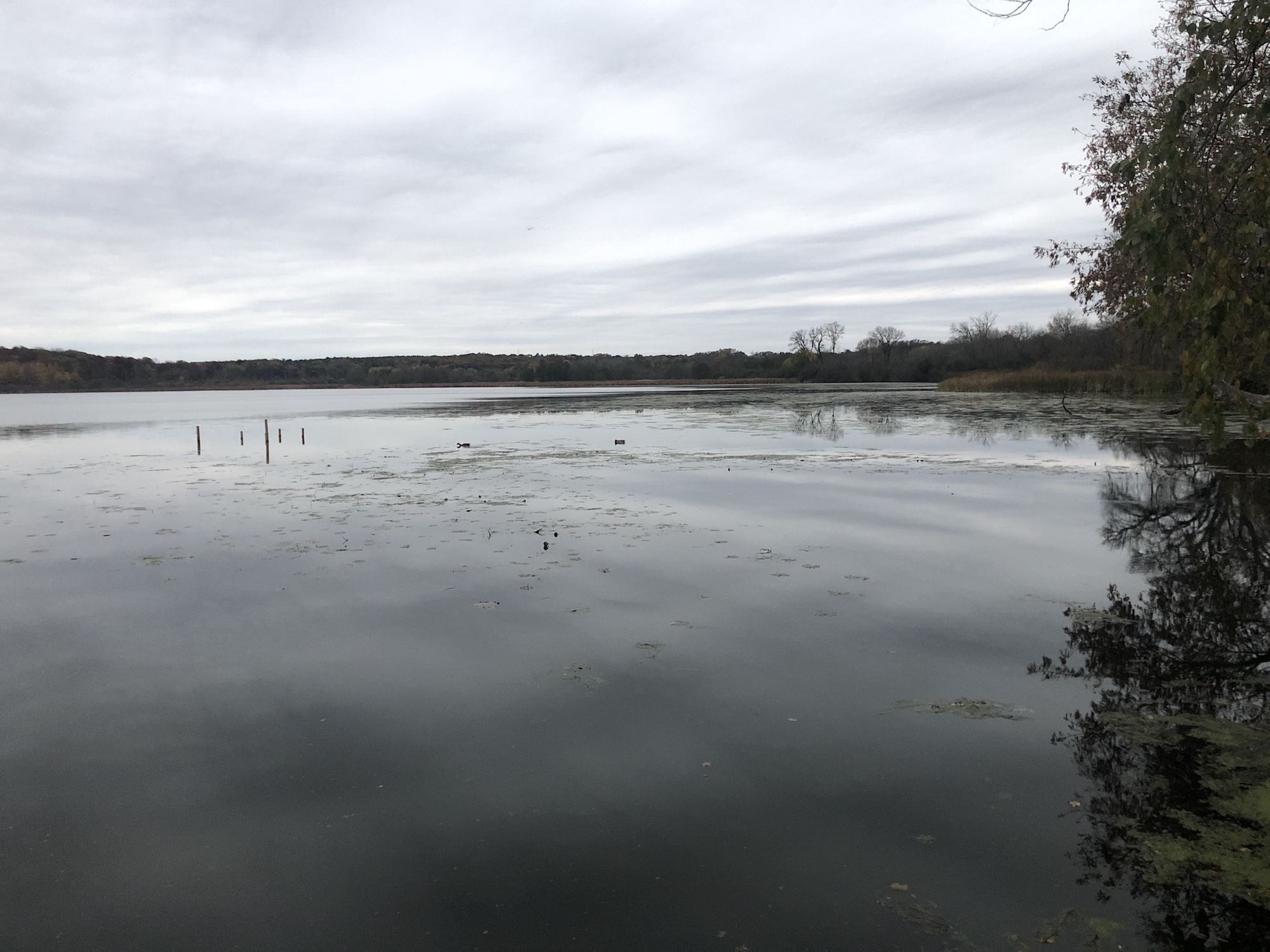 Lake Wingra | Madison, Wisconsin | October 28, 2019