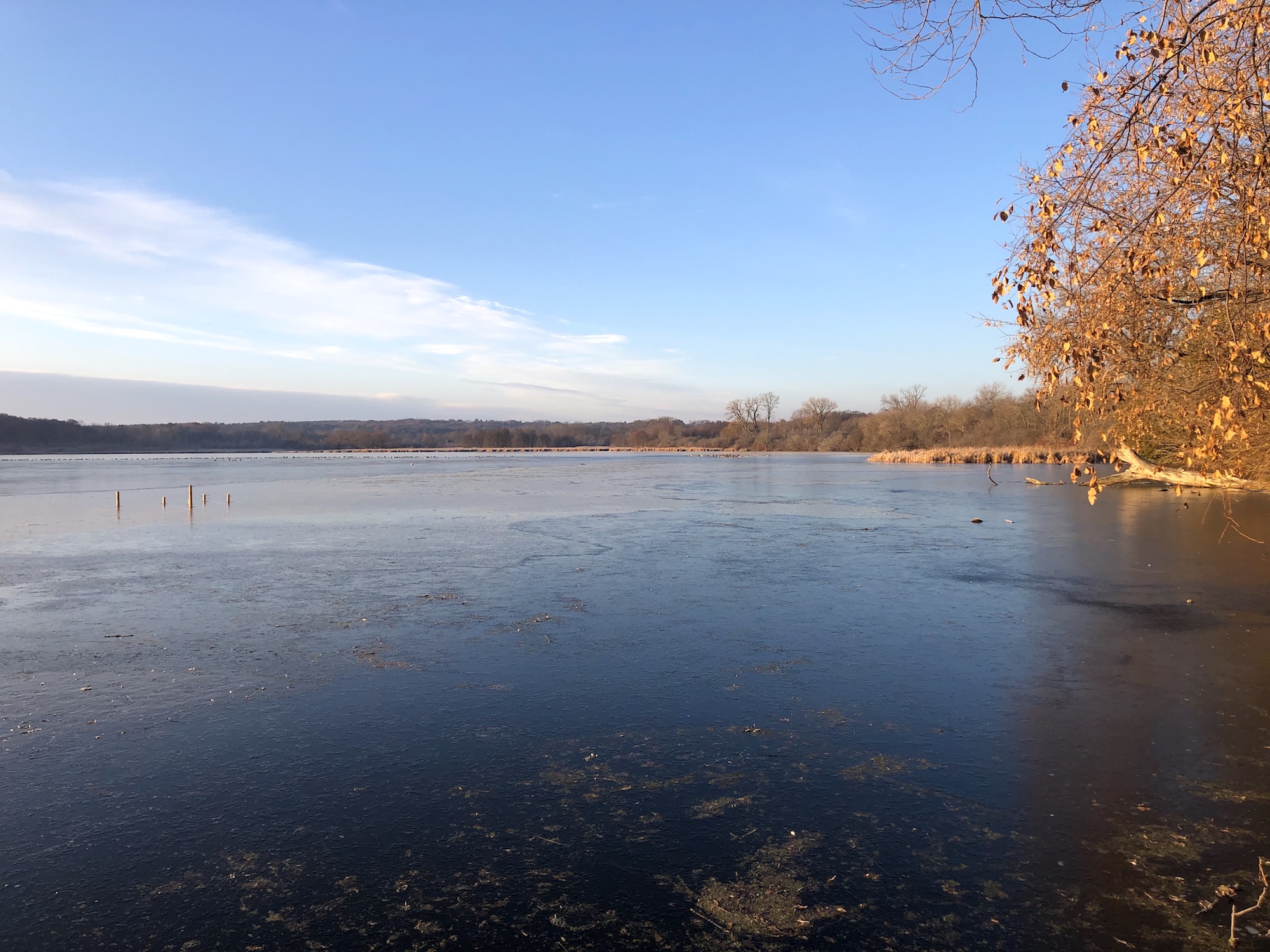 Lake Wingra | Madison, Wisconsin | November 23, 2019