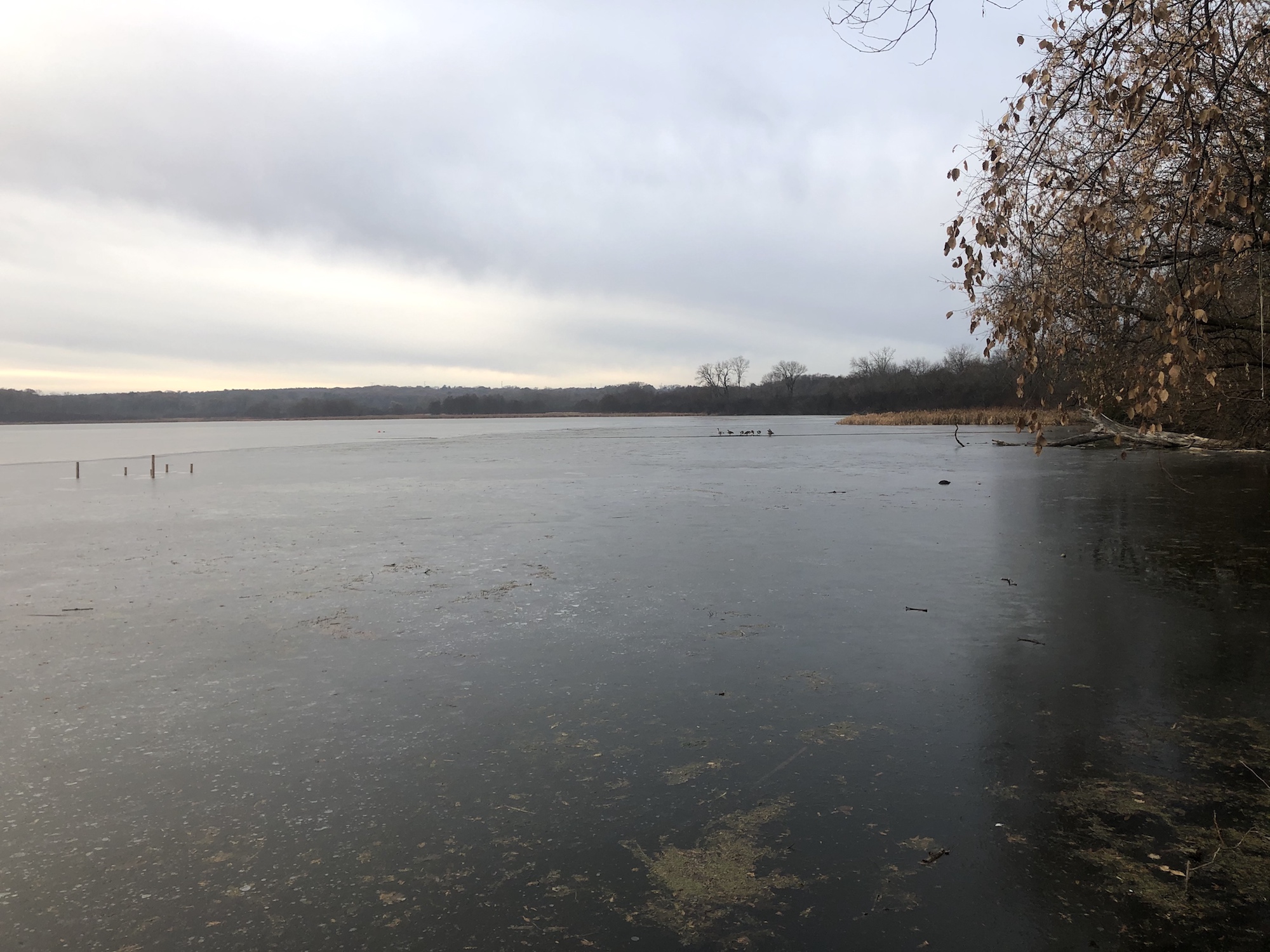 Lake Wingra | Madison, Wisconsin | November 25, 2019