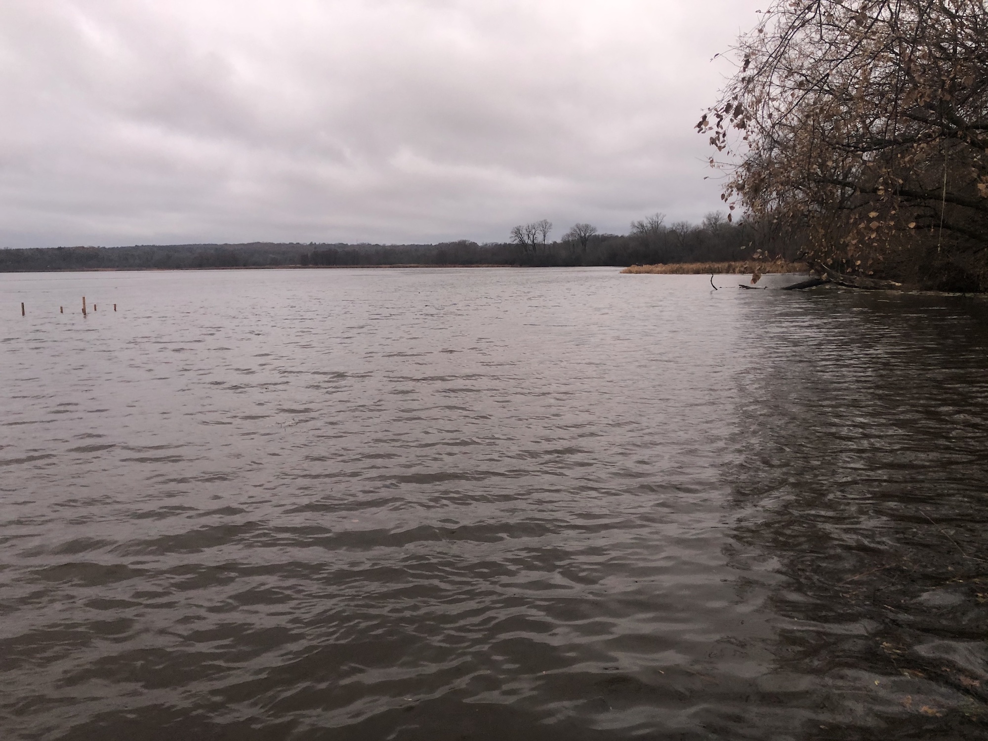 Lake Wingra | Madison, Wisconsin | November 27, 2019