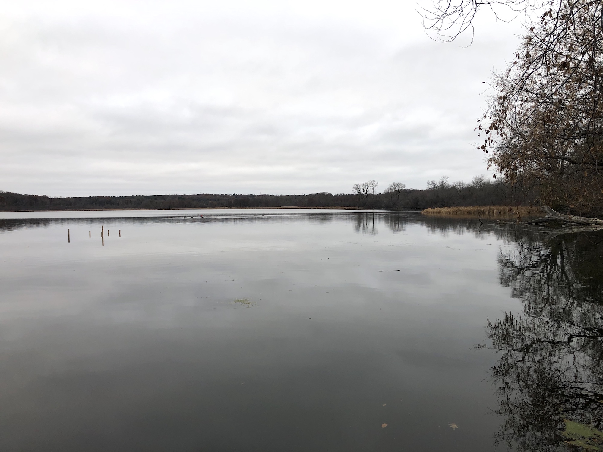 Lake Wingra | Madison, Wisconsin | November 28, 2019