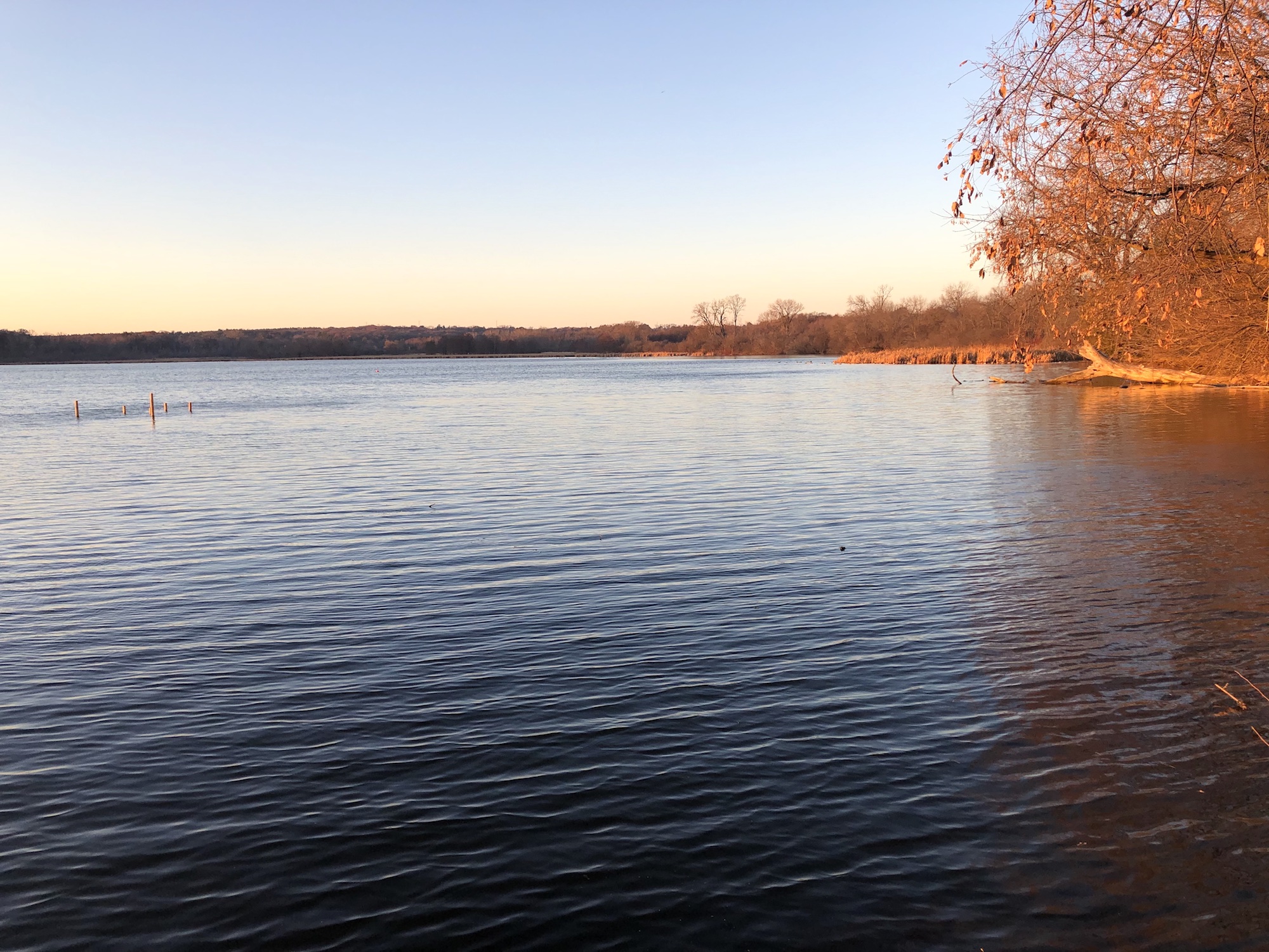 Lake Wingra | Madison, Wisconsin | December 4, 2019