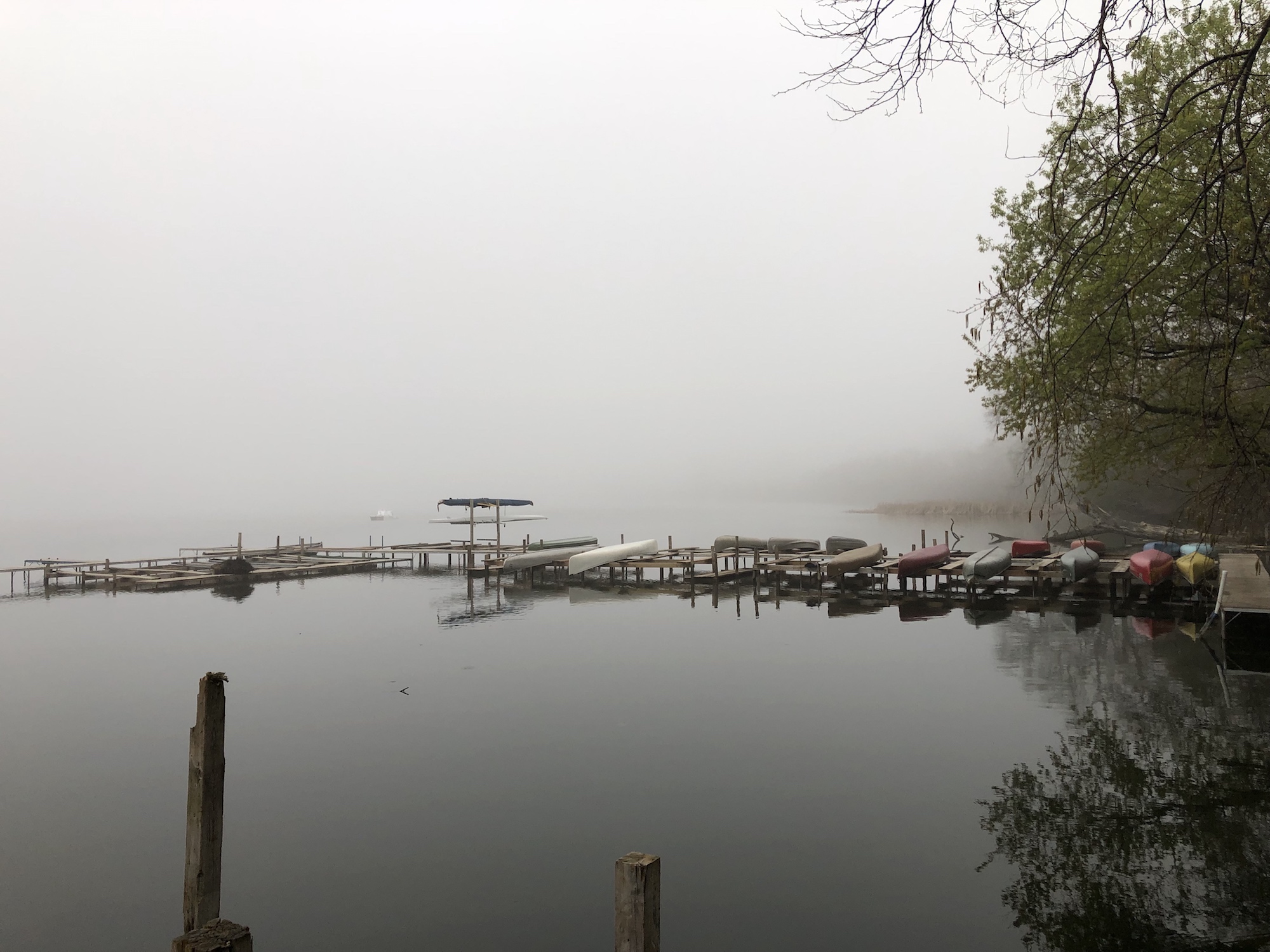 Lake Wingra | Madison, Wisconsin | May 2, 2019