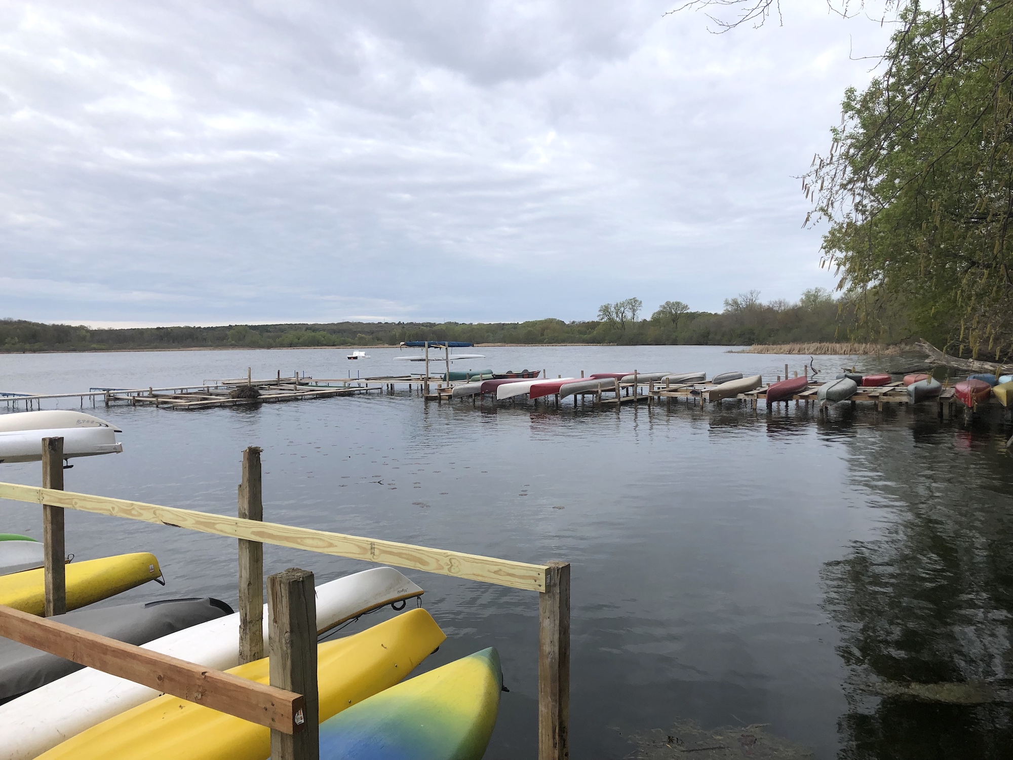 Lake Wingra | Madison, Wisconsin | May 7, 2019