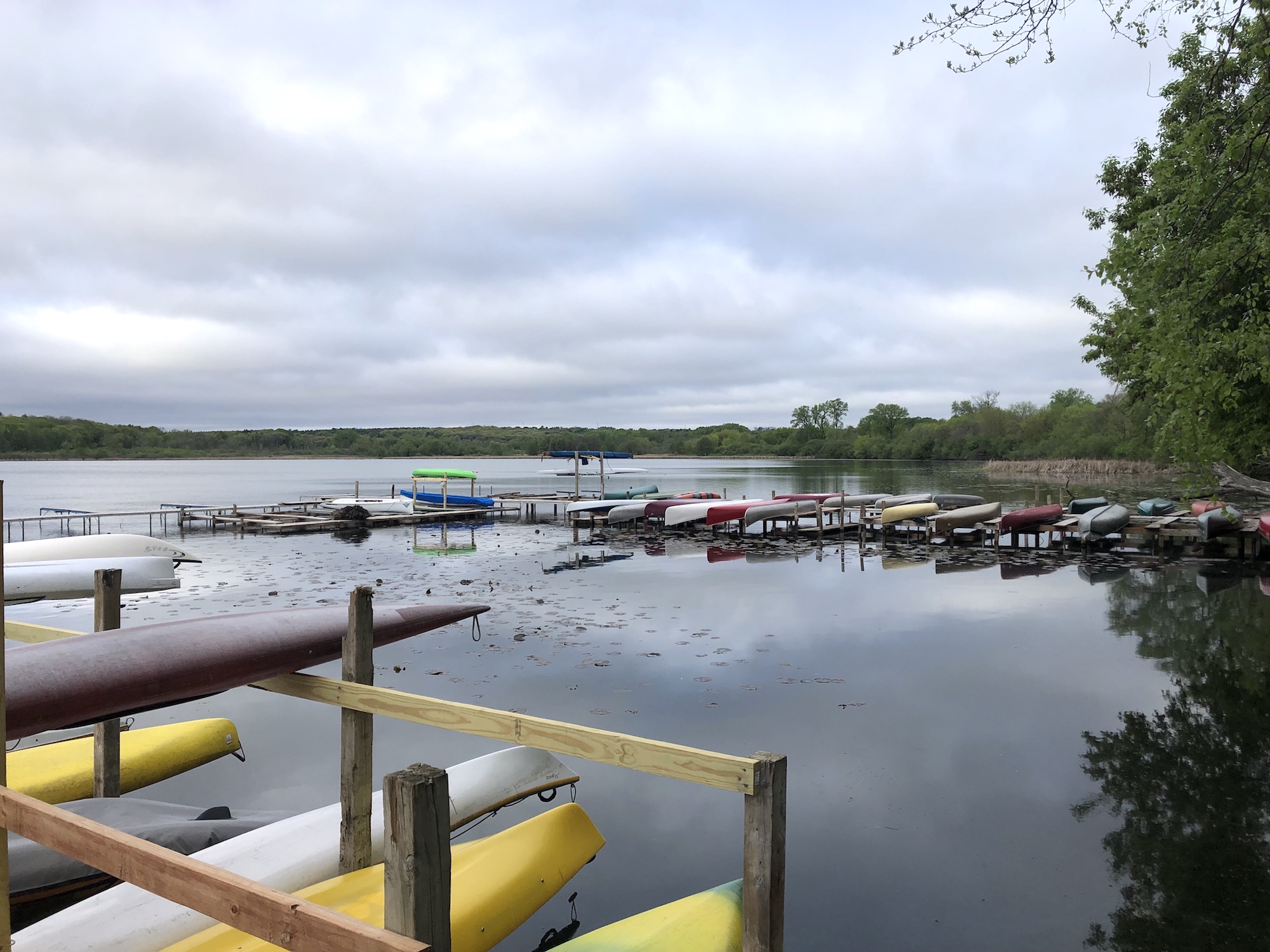 Lake Wingra | Madison, Wisconsin | May 20, 2019