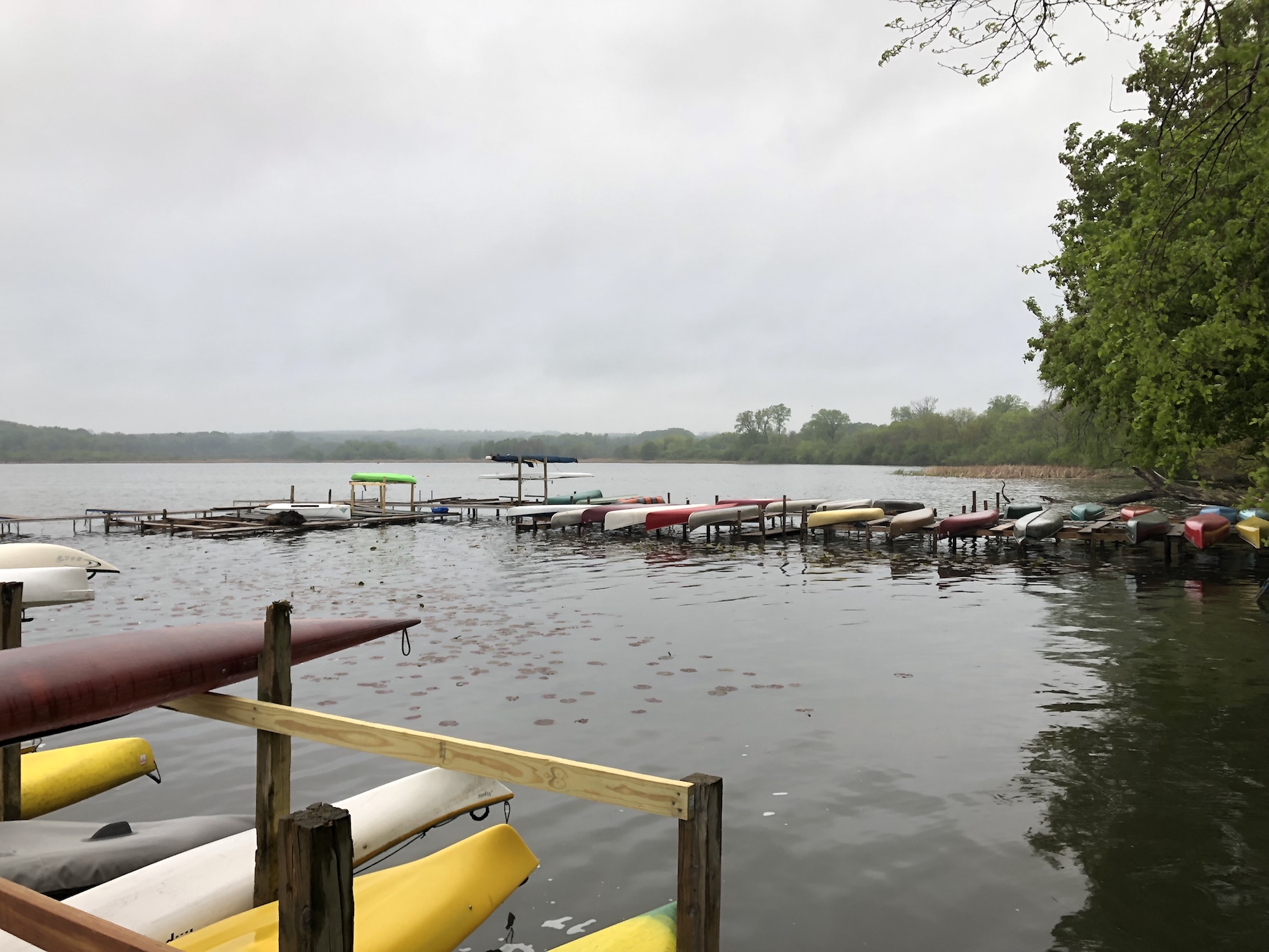 Lake Wingra | Madison, Wisconsin | May 22, 2019