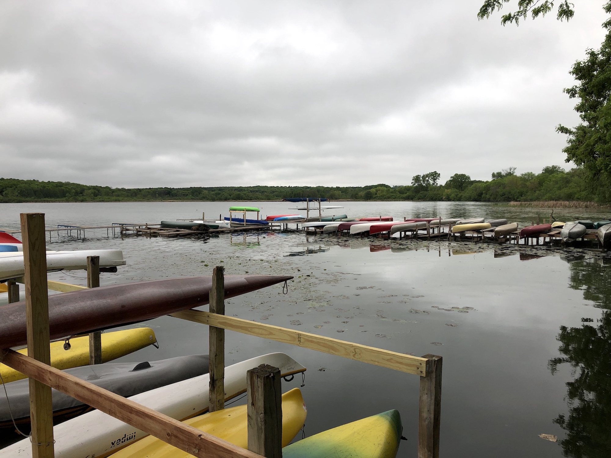 Lake Wingra | Madison, Wisconsin | May 28, 2019