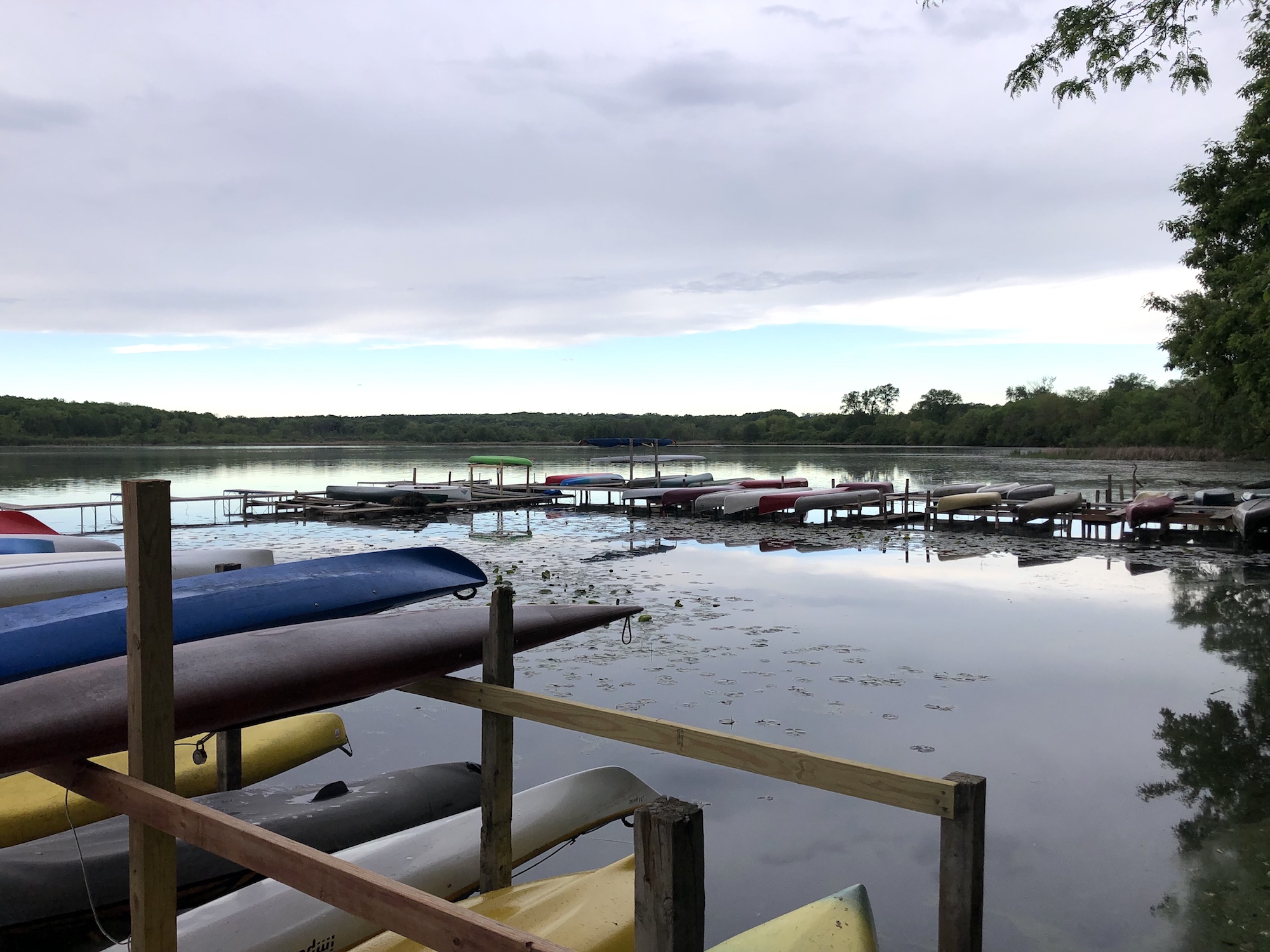 Lake Wingra | Madison, Wisconsin | May 30, 2019