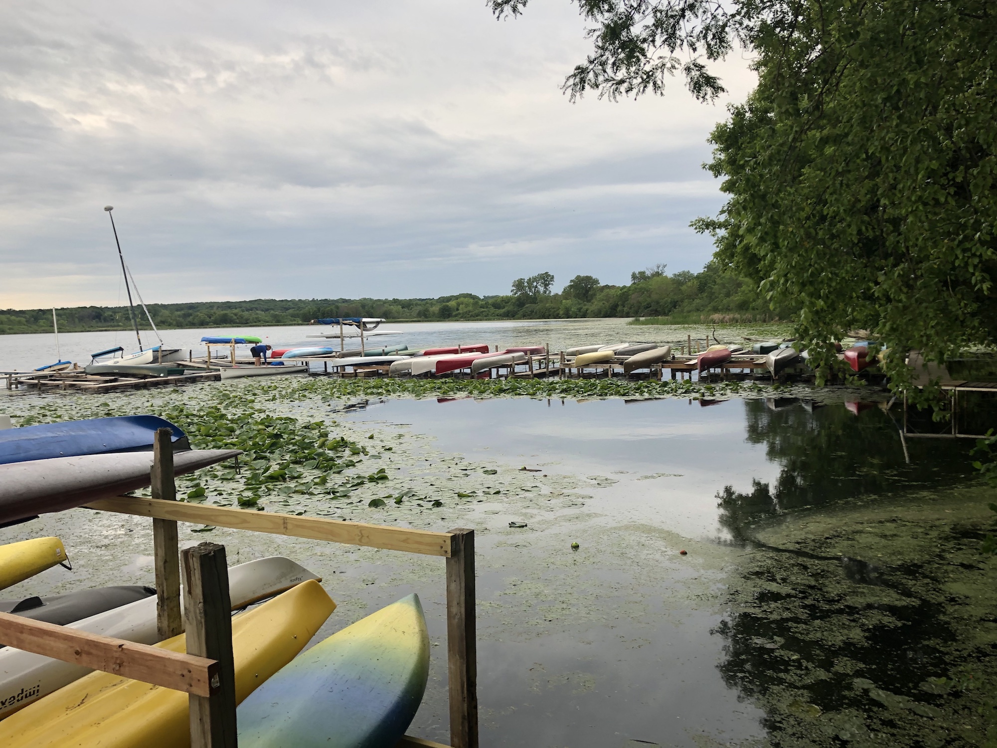 Lake Wingra | Madison, Wisconsin | June 14, 2019