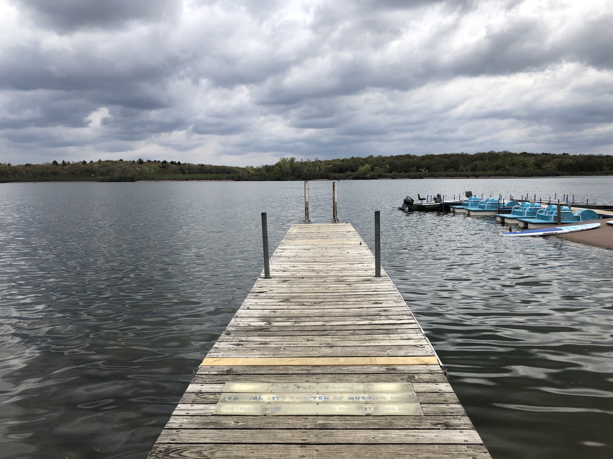 Lake Wingra | Madison, Wisconsin | May 11, 2019