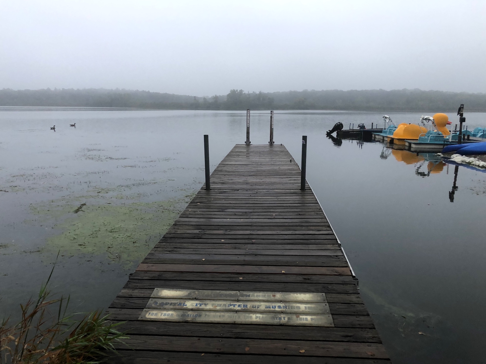 Lake Wingra | Madison, Wisconsin | September 30, 2019