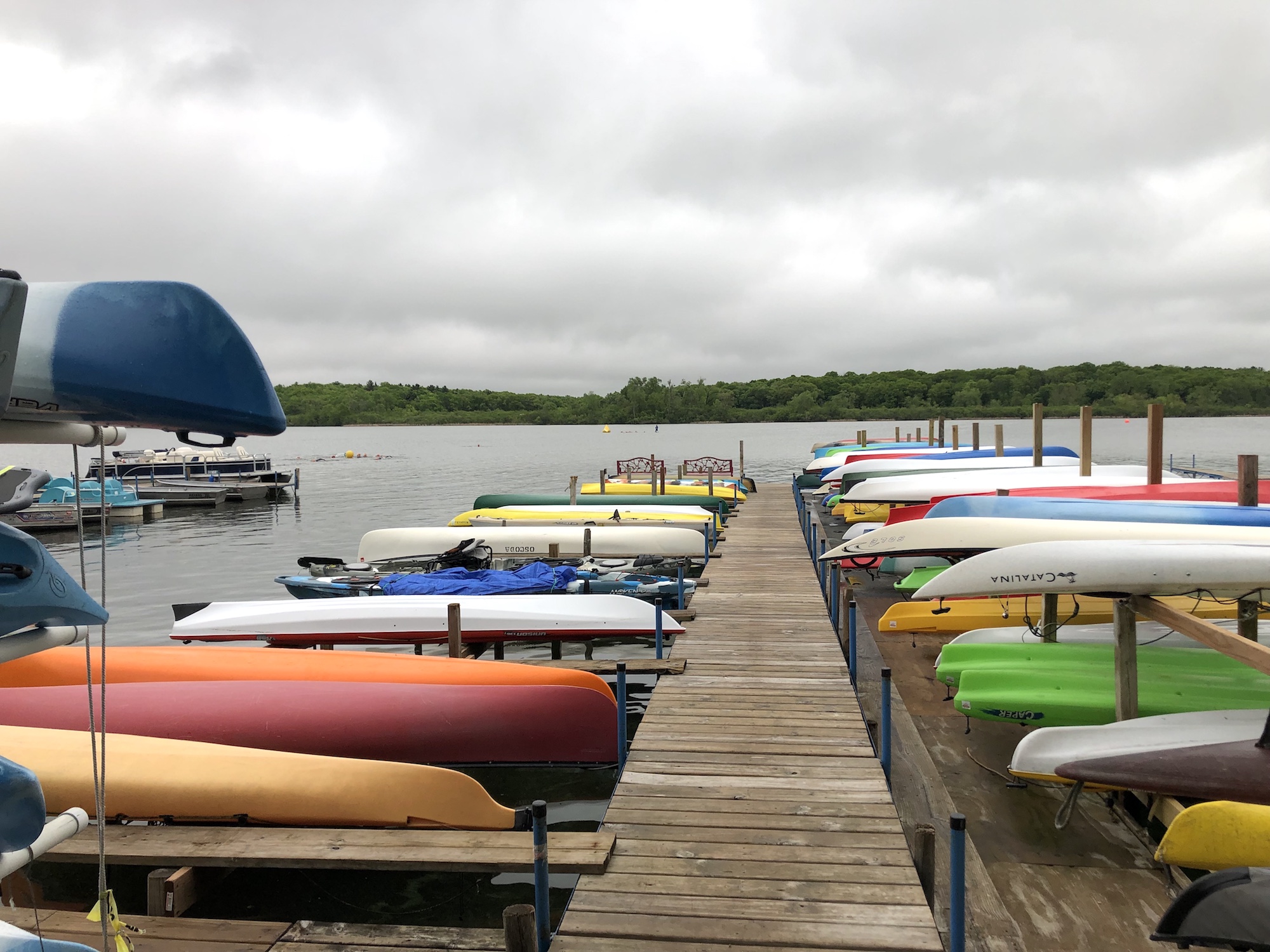 Lake Wingra | Madison, Wisconsin | May 28, 2019