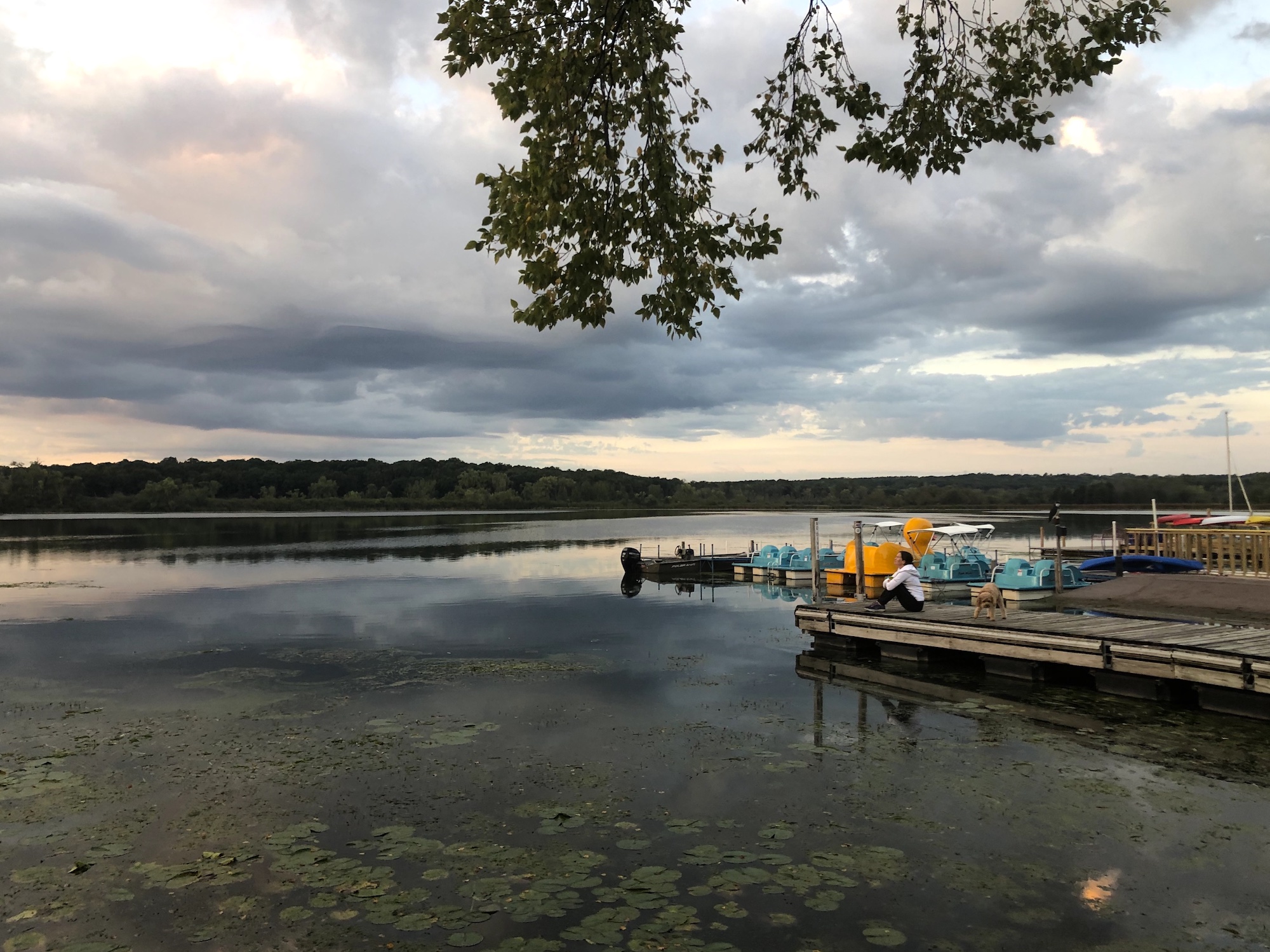 Lake Wingra | Madison, Wisconsin | September 24, 2019