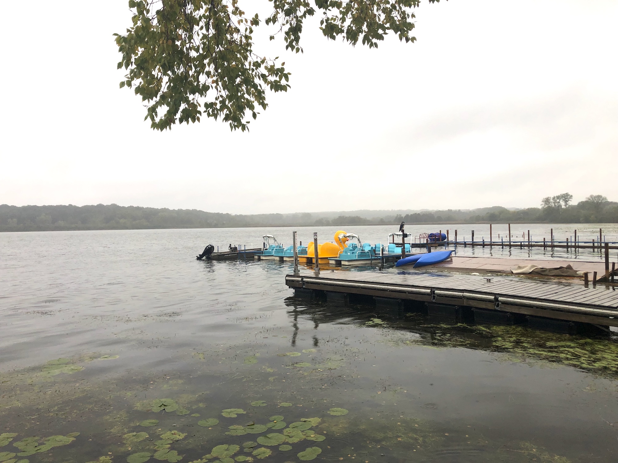 Lake Wingra | Madison, Wisconsin | September 29, 2019