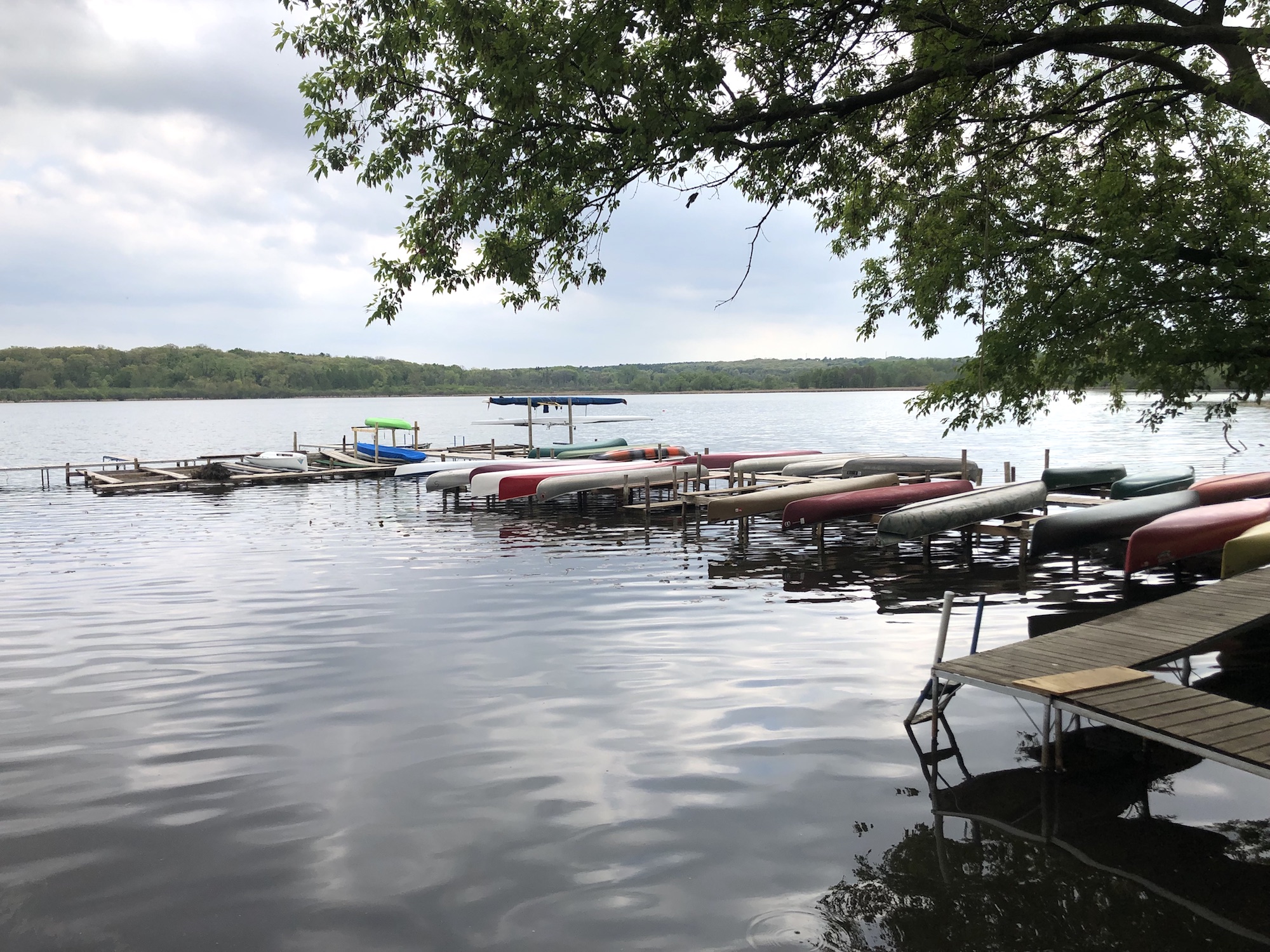 Lake Wingra | Madison, Wisconsin | May 16, 2019