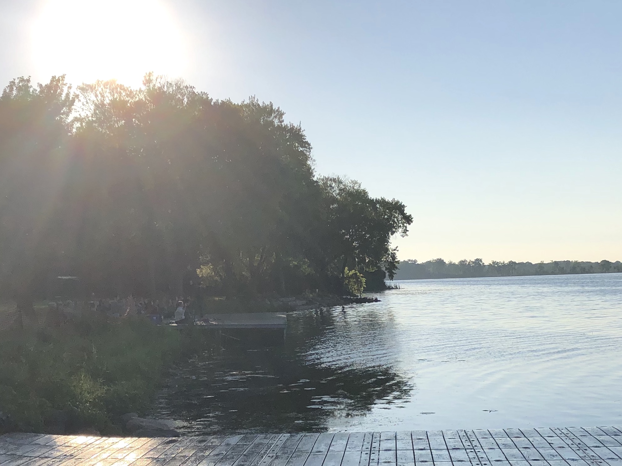 Lake Wingra | Madison, Wisconsin | June 25, 2019